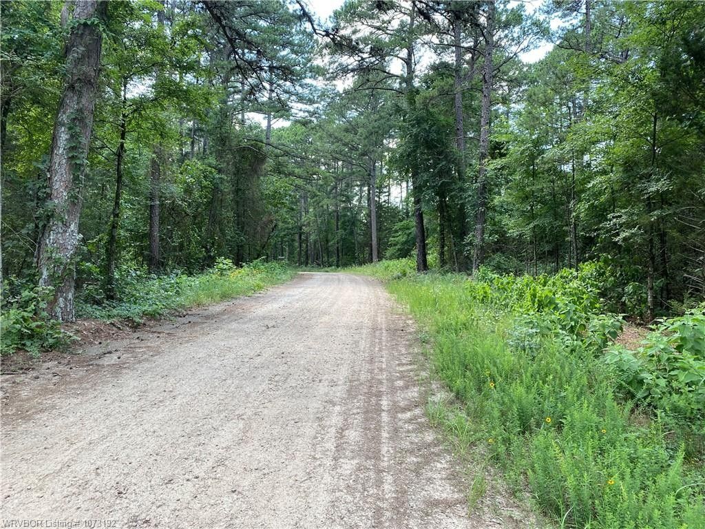 1465 Citadel Bluff TR, Cecil, AR 72930 | MLS: 1073192 | LandWatch