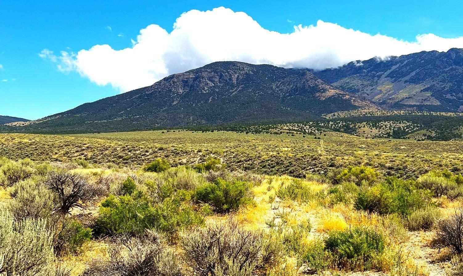 40 acres in Montello, NV, 89830 | MLS: 010-79D-027 | LandWatch