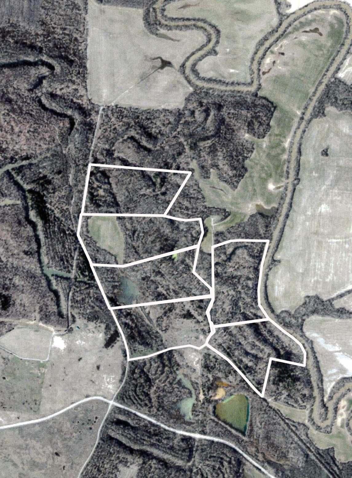 Carter Ferry Road, Centertown, KY 42328 | LandWatch