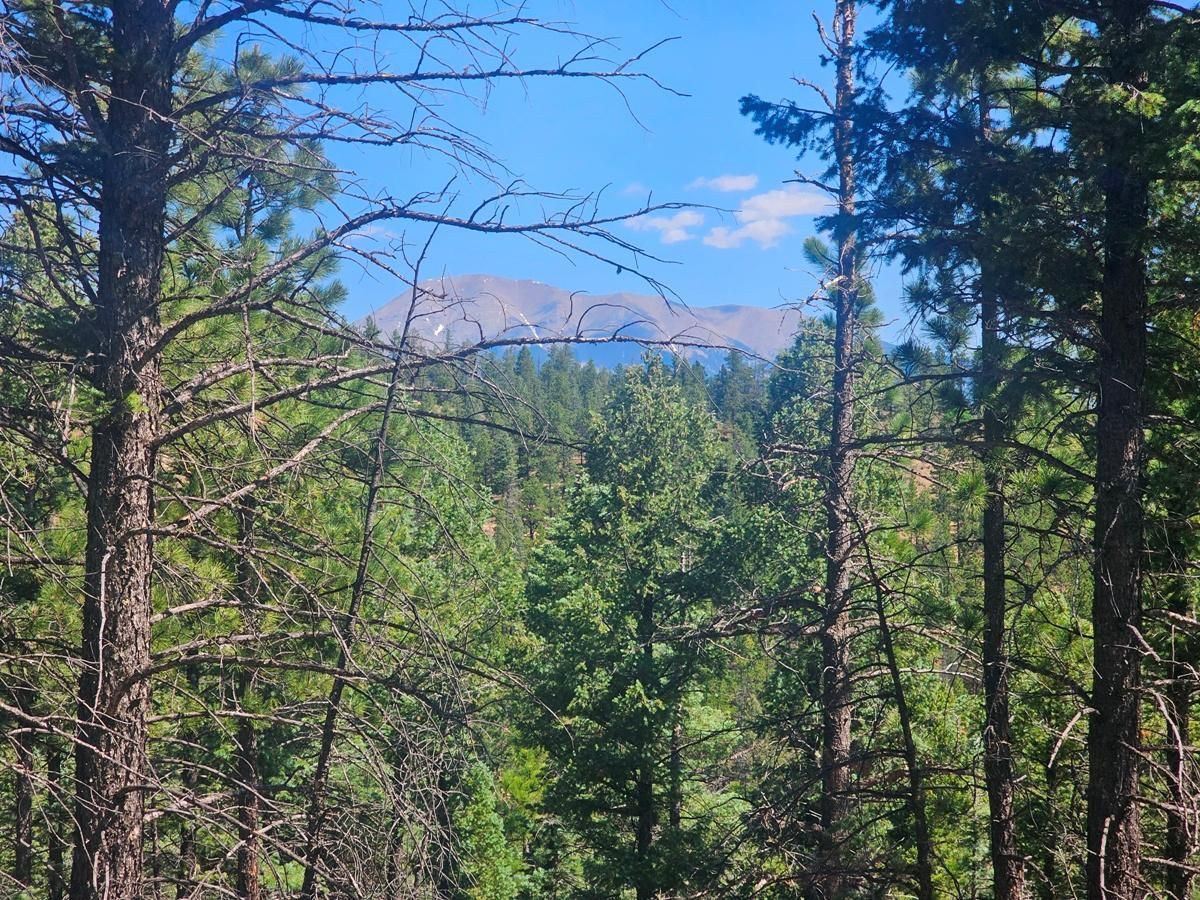 County Road 38.2, Weston, CO 81091 | LandWatch