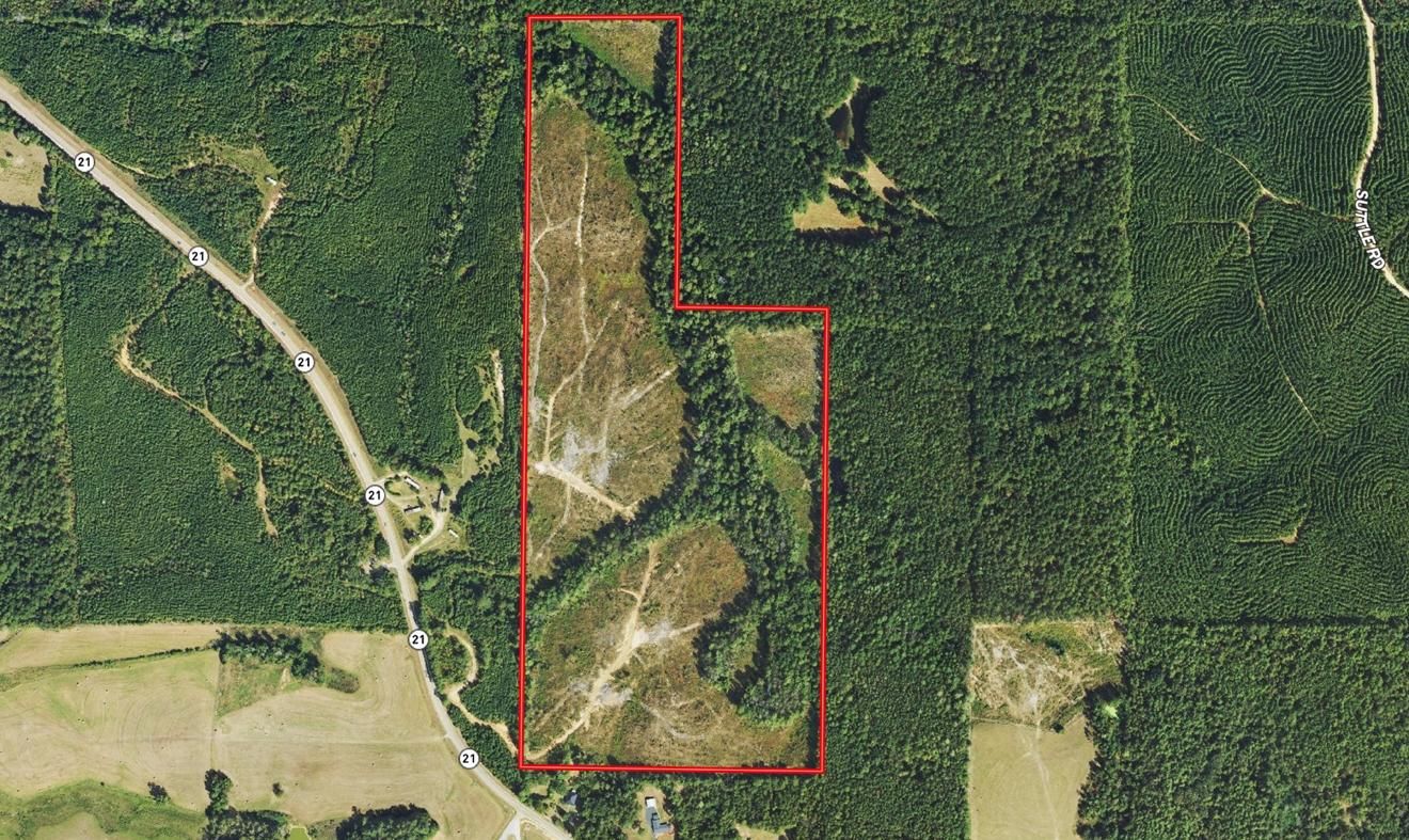 Highway 21, Preston, MS 39354 | LandWatch