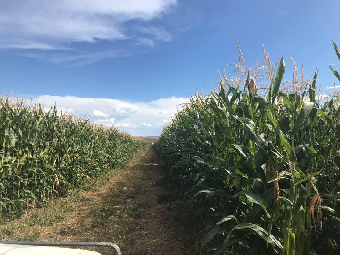 960 acres in Jensen, UT, 84035 | LandWatch