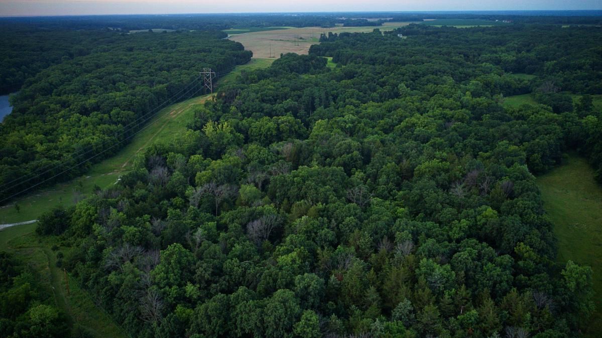 County Road 297, Monticello, MO 63457 | LandWatch