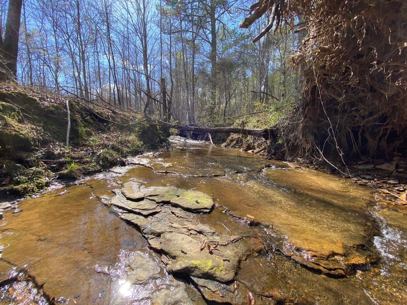 26.13 acres in Bankston, AL, 35542 | LandWatch