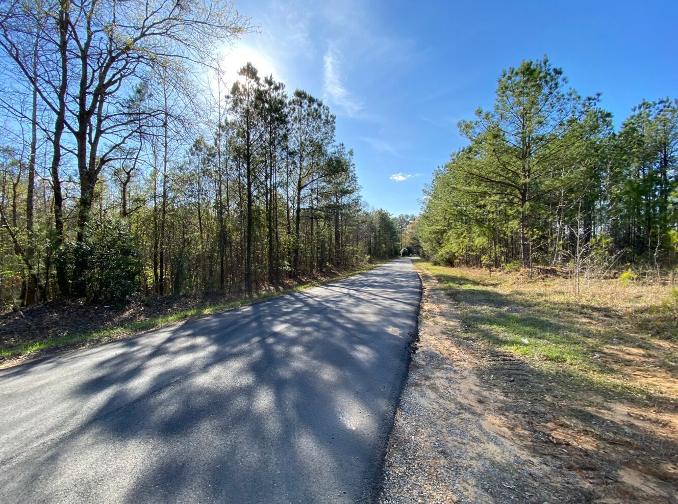 32.95 acres in Bankston, AL, 35542 | LandWatch