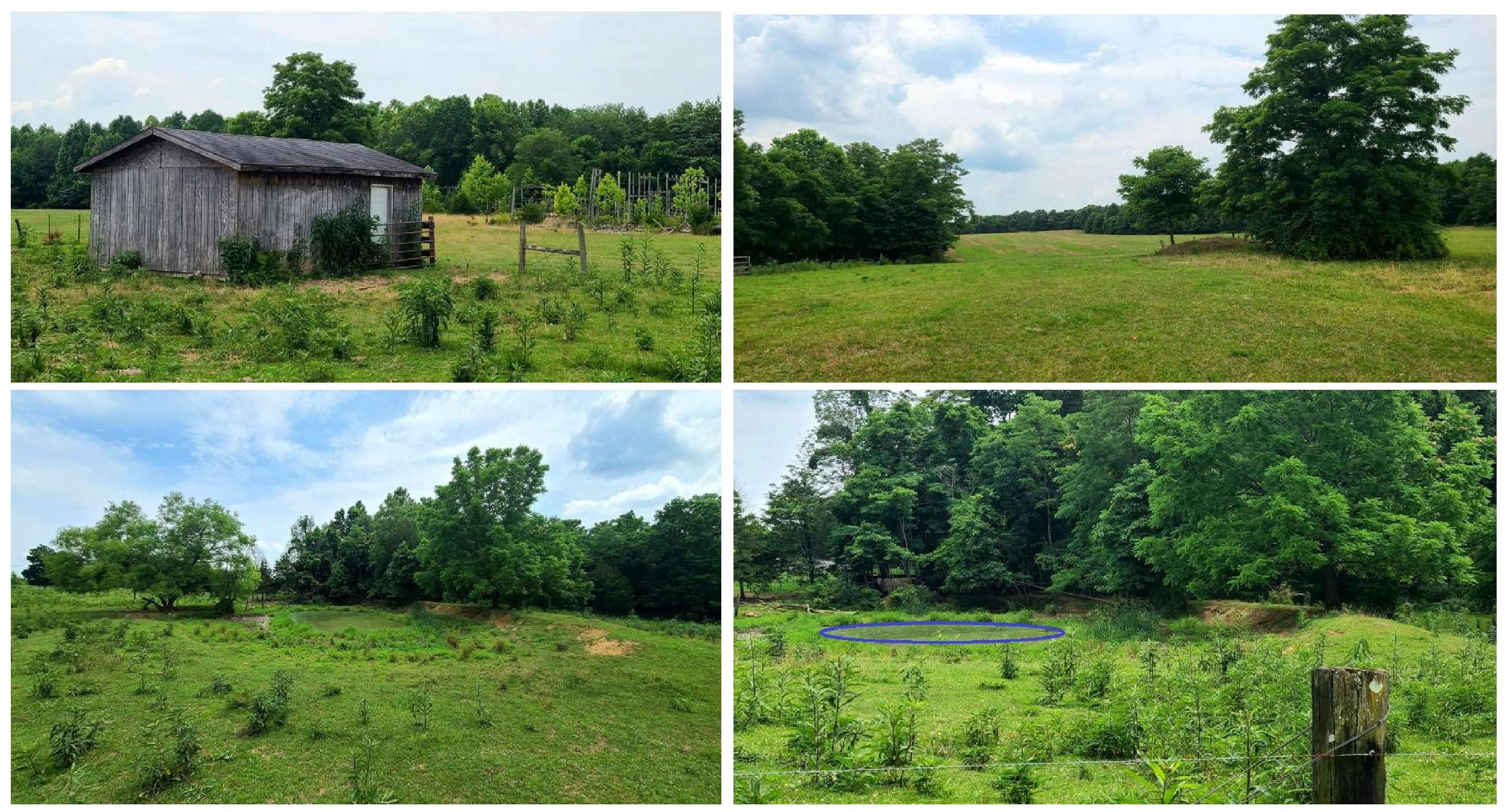 St Engle Rd, Vanceburg, KY 41179 | LandWatch