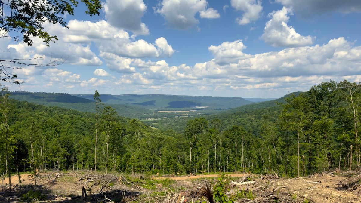 State Highway 156, South Pittsburg, TN 37380 | LandWatch