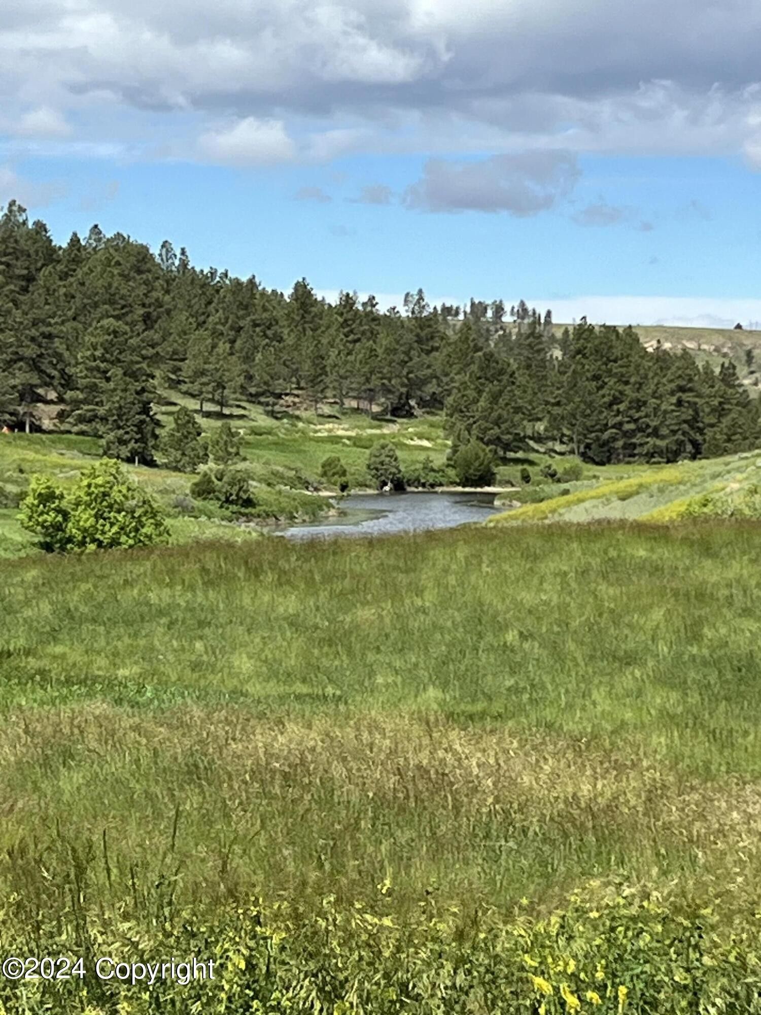 Tract 1 Stock Trail Drive, Sundance, WY 82729 | MLS: 24-831 | LandWatch