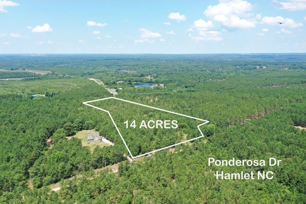 Apn: 840300054496, Hamlet, NC 28345 | MLS: 11291973 | LandWatch