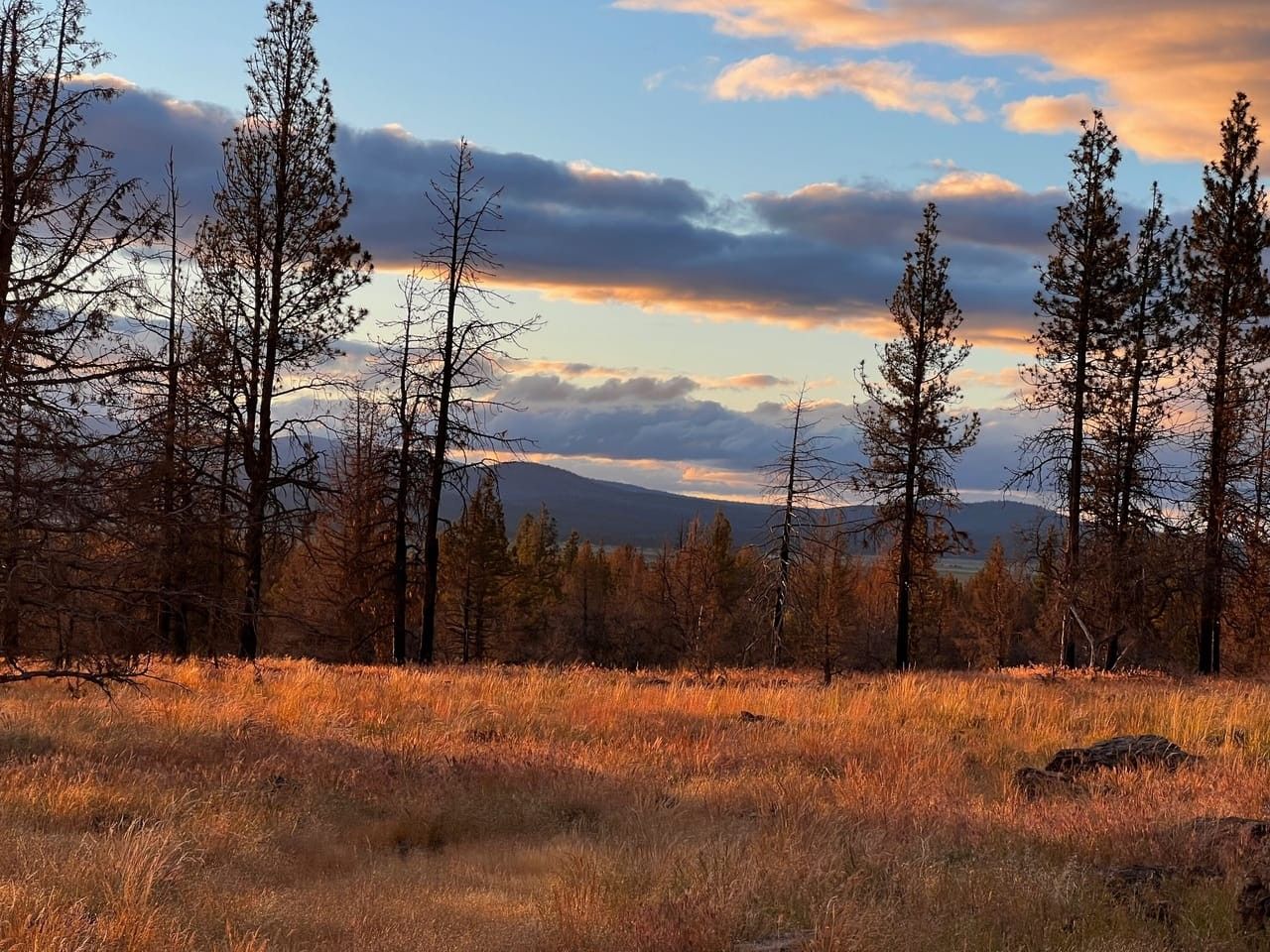 0 Sycan Marsh, Paisley, OR 97636 | MLS: 24296344 | LandWatch