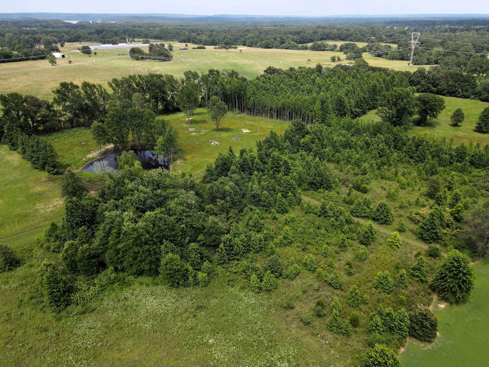 000 Caroline Loop, Plumerville, AR 72127 | MLS: Conway 6.5 | LandWatch