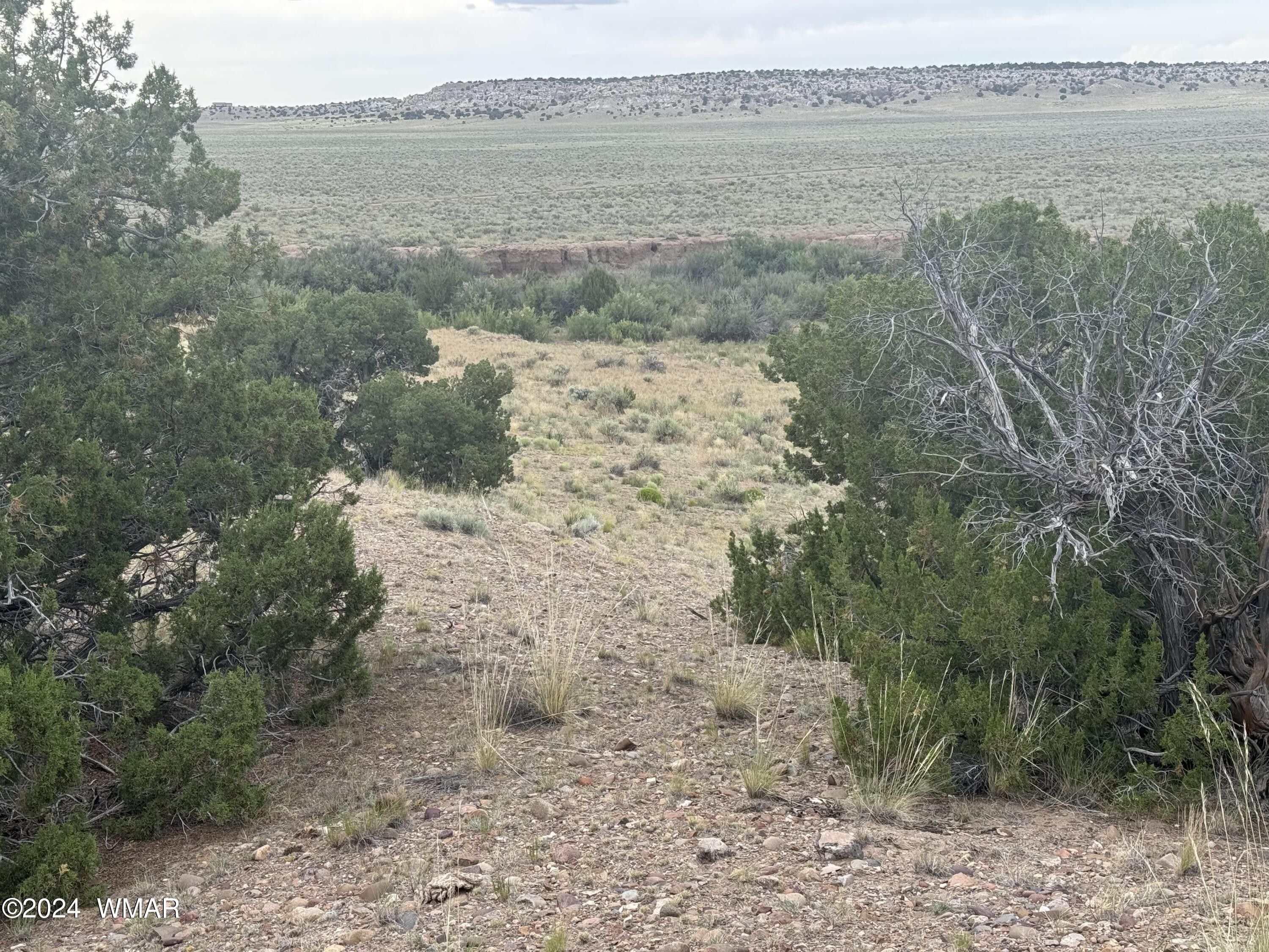 927 Woodland Valley Ranch, Saint Johns, AZ 85936 | MLS: 251765 | LandWatch