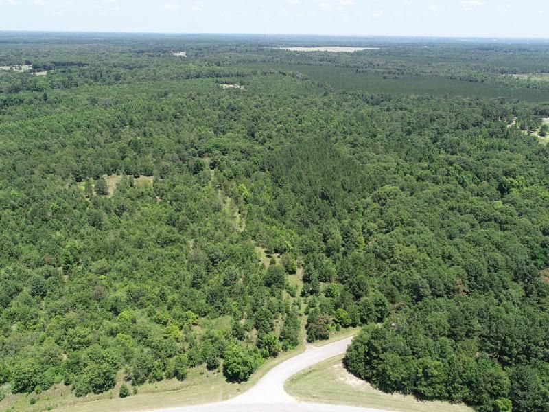 1015 County Line Road, Blythe, GA 30805 | LandWatch