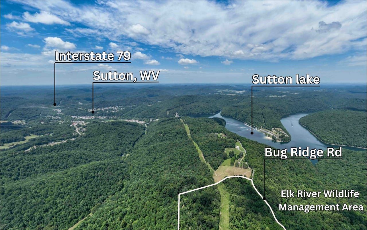 Bug Ridge Rd, Sutton, WV 26601 | LandWatch
