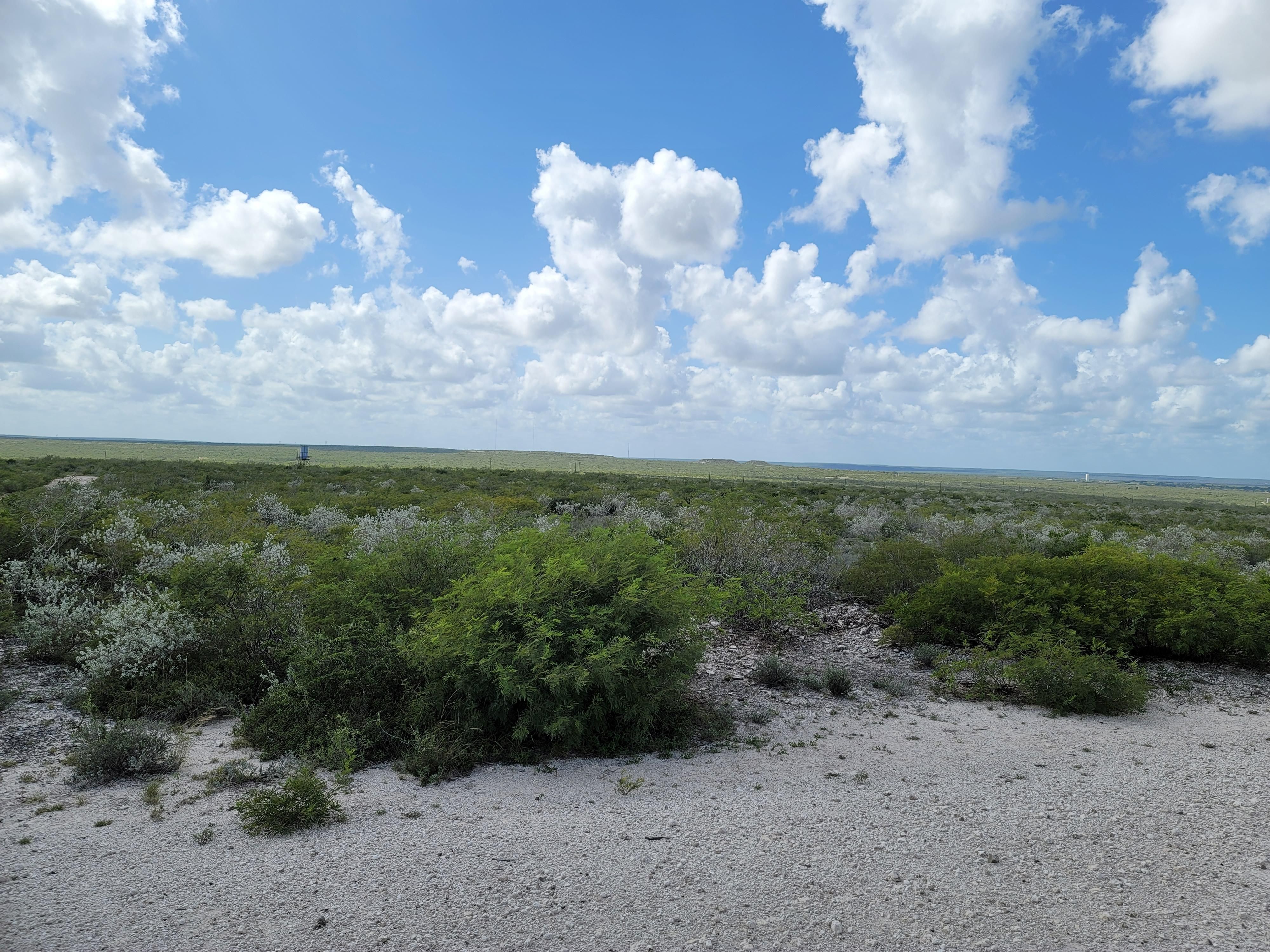 105 acres in Freer, TX, 78357 | LandWatch