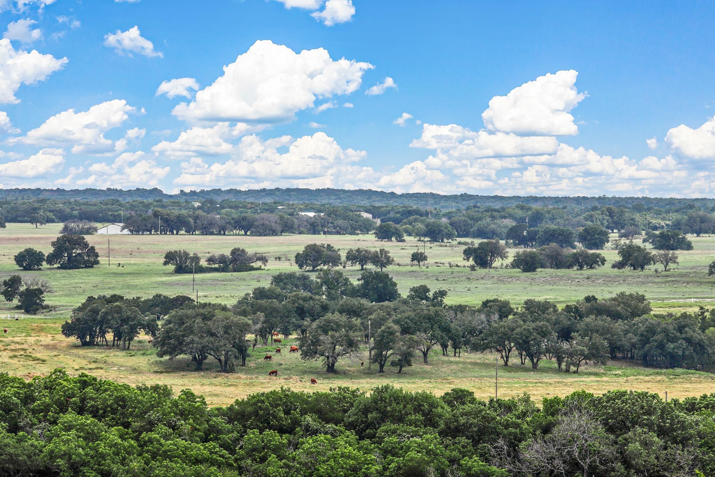 FM 56, Morgan, TX 76665 | MLS: 20653710 | LandWatch