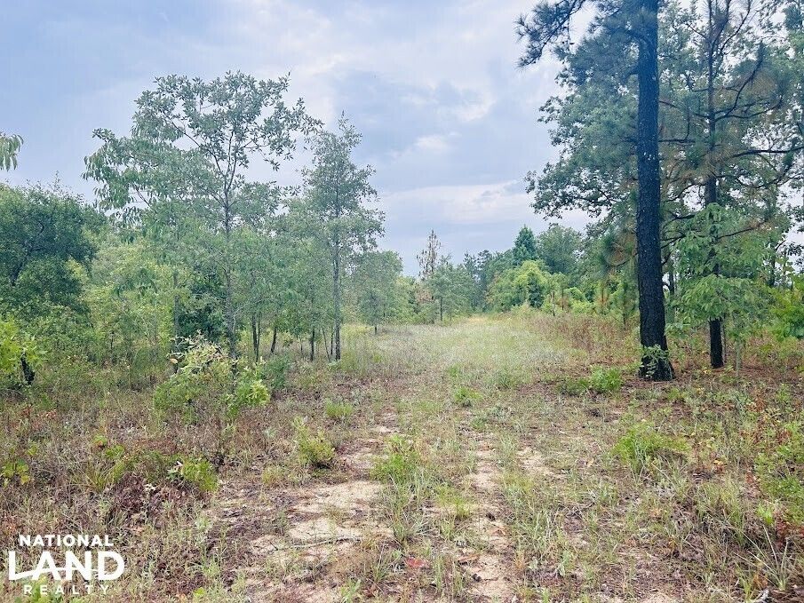 0 Field Road, Mauk, GA 31058 | MLS: 11292347 | LandWatch