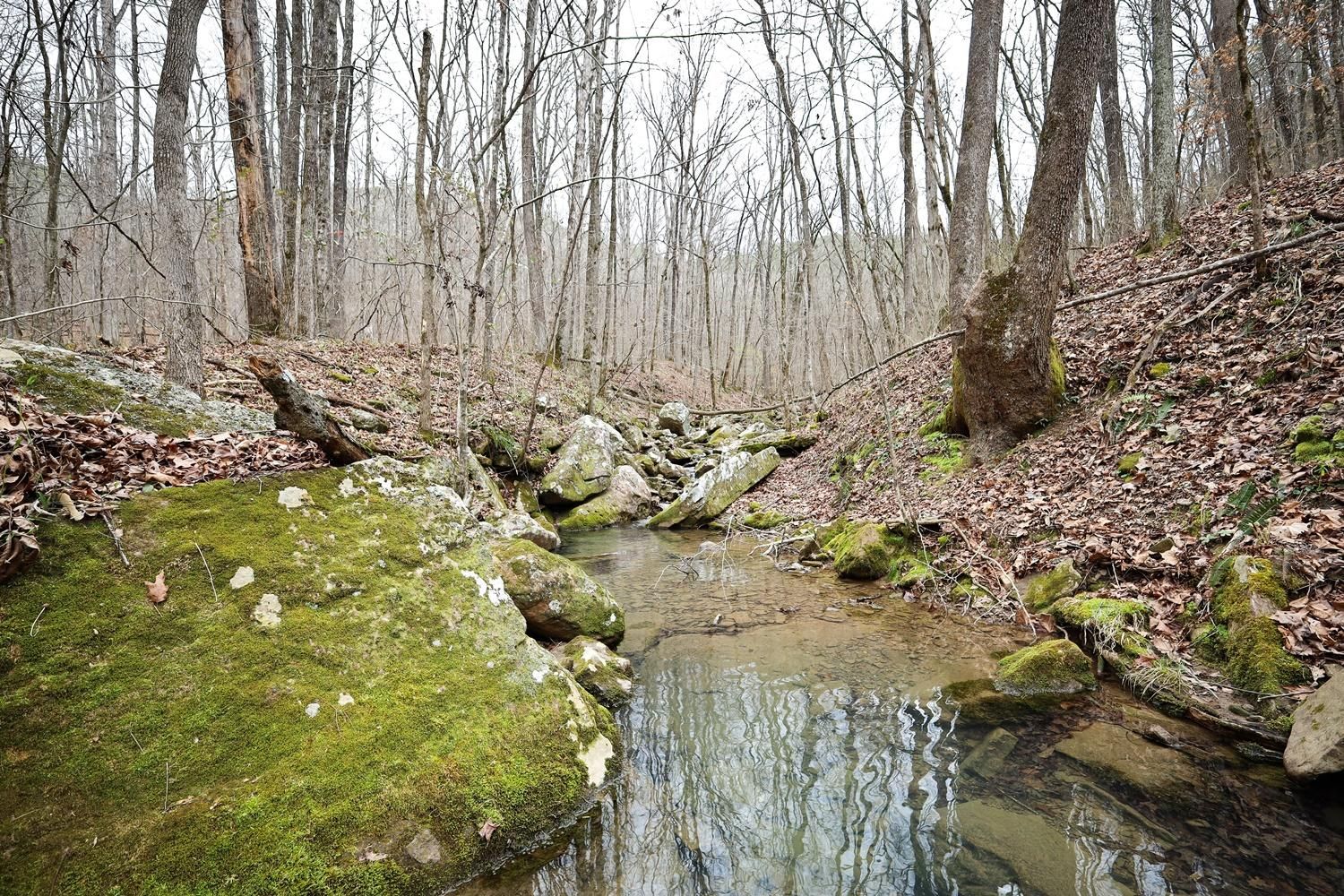 Angora Mountain Road, Clinton, AR 72031 | LandWatch