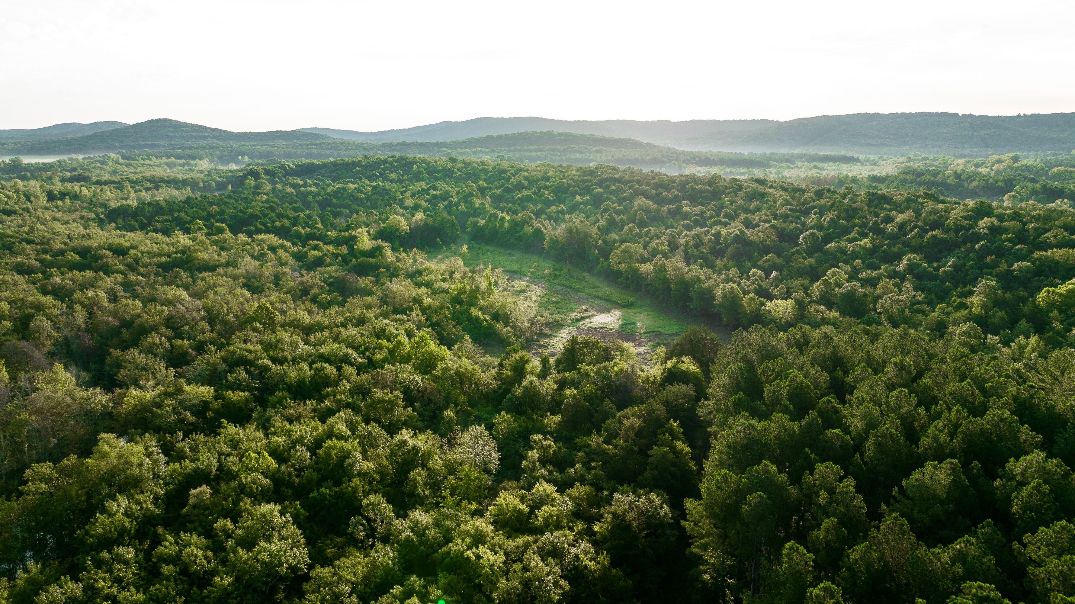 10 acres in Youngtown, AL, 35650 | LandWatch