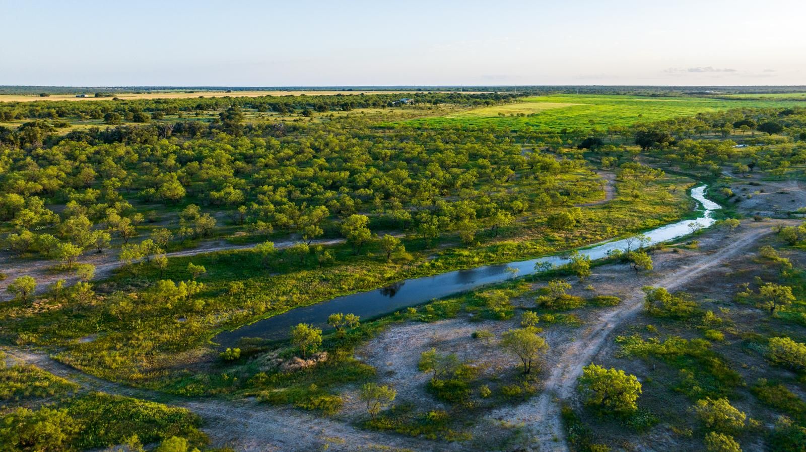 1,042.55 acres in Melvin, TX, 76858 | MLS: Brady Creek Ranch | LandWatch