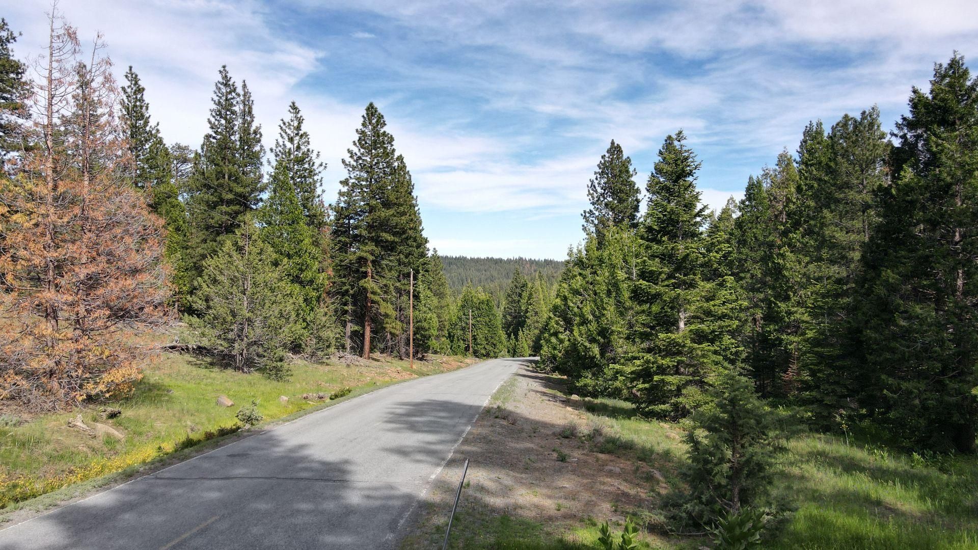 California Pines Blvd, Alturas, CA 96101 | MLS: 037-403-011-000 | LandWatch
