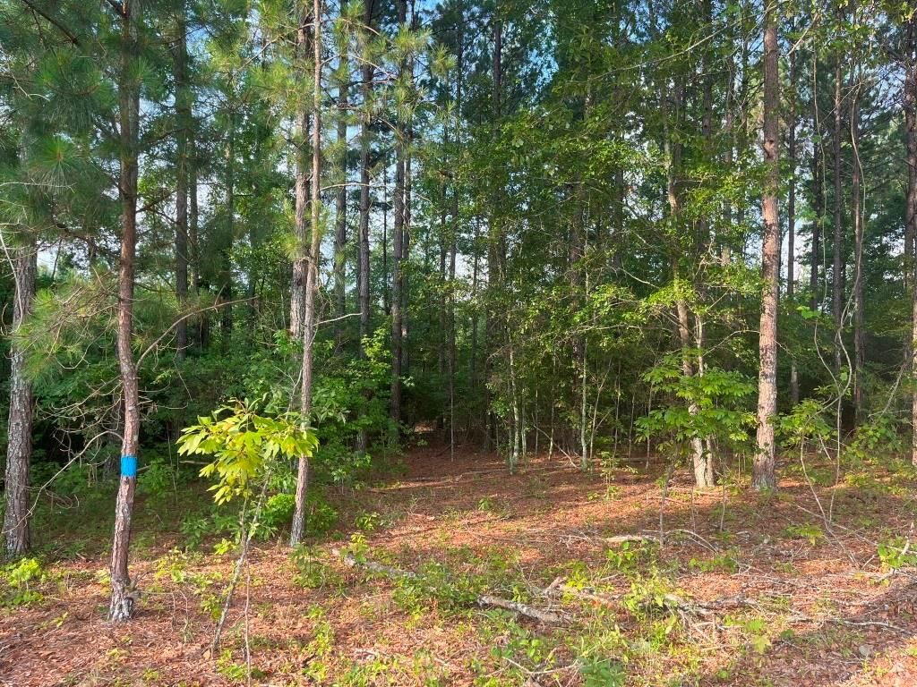 27 acres in Wallace, SC, 29512 | MLS: 16611-Marlboro County SC | LandWatch