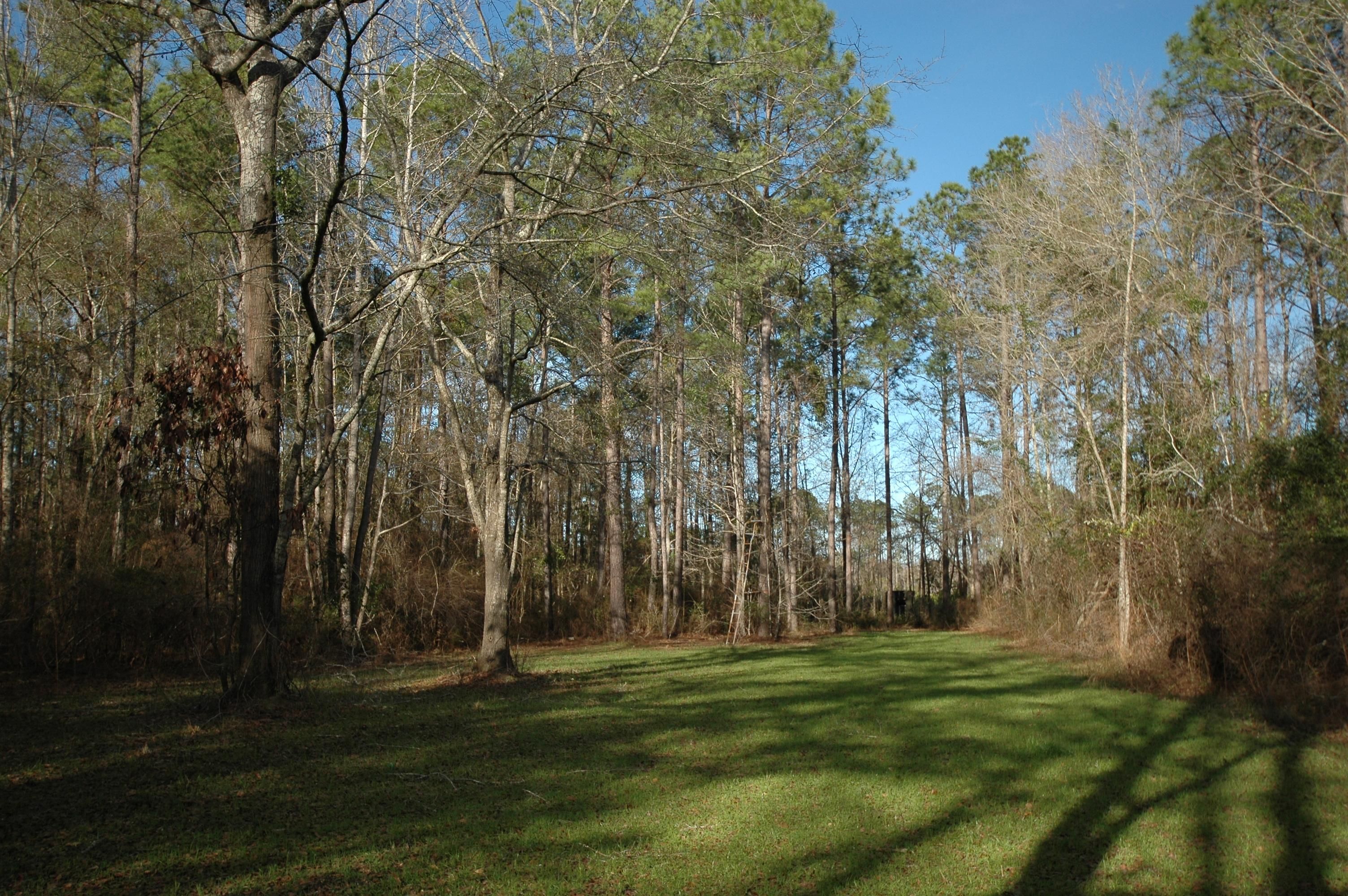 108 acres in Bonifay, FL, 32425 | MLS: Bonifay 106 | LandWatch