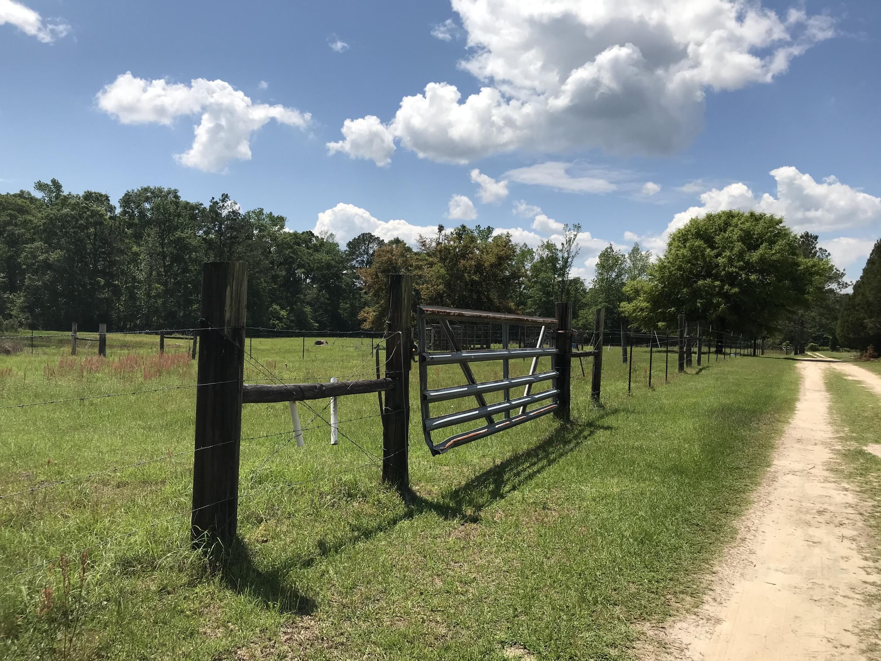 1603 Bethlehem Church Road, Bonifay, FL 32425 | MLS: 951058 | LandWatch