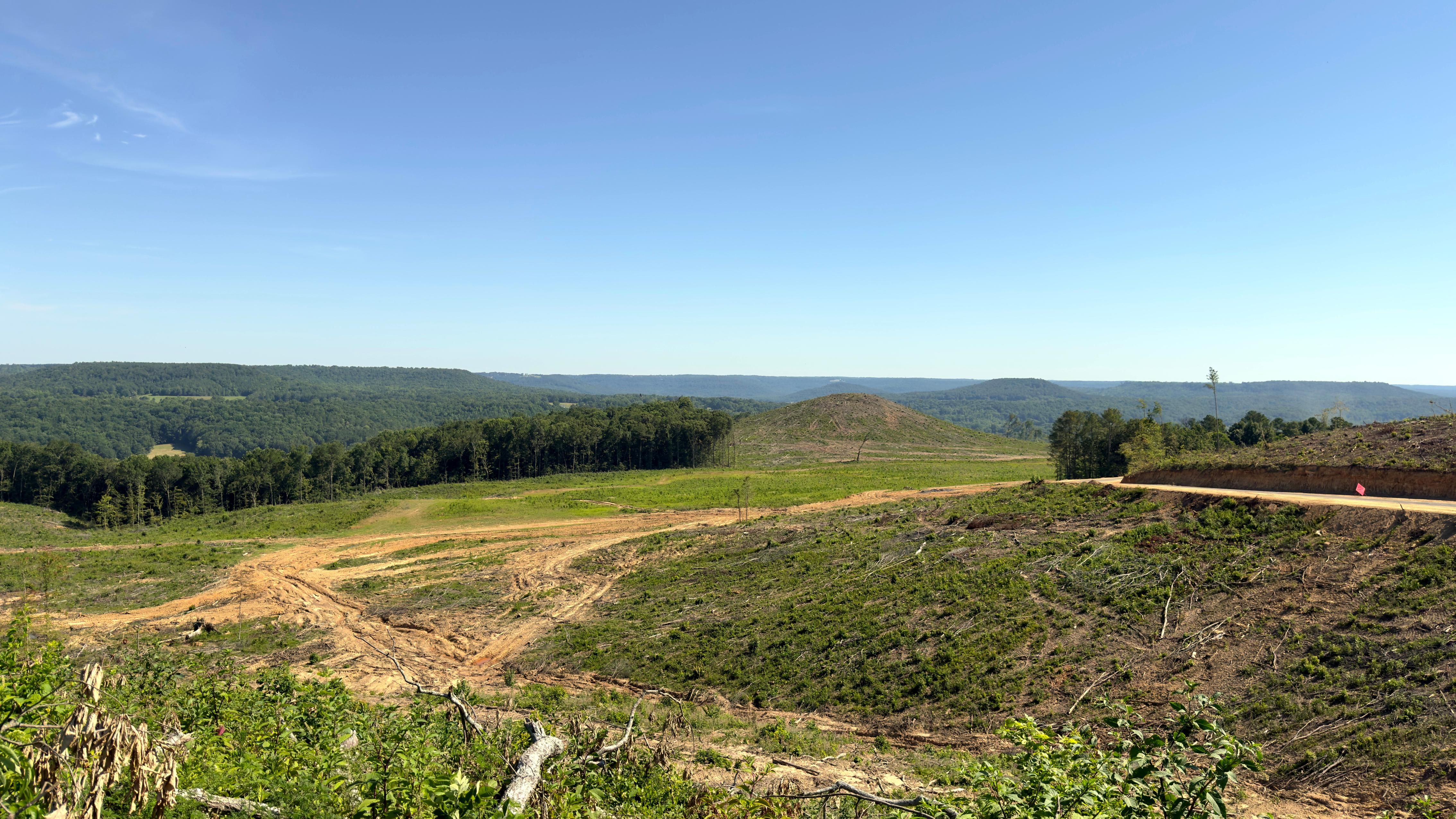 Tract B Gum Pond Road, Eva, AL 35621 | LandWatch