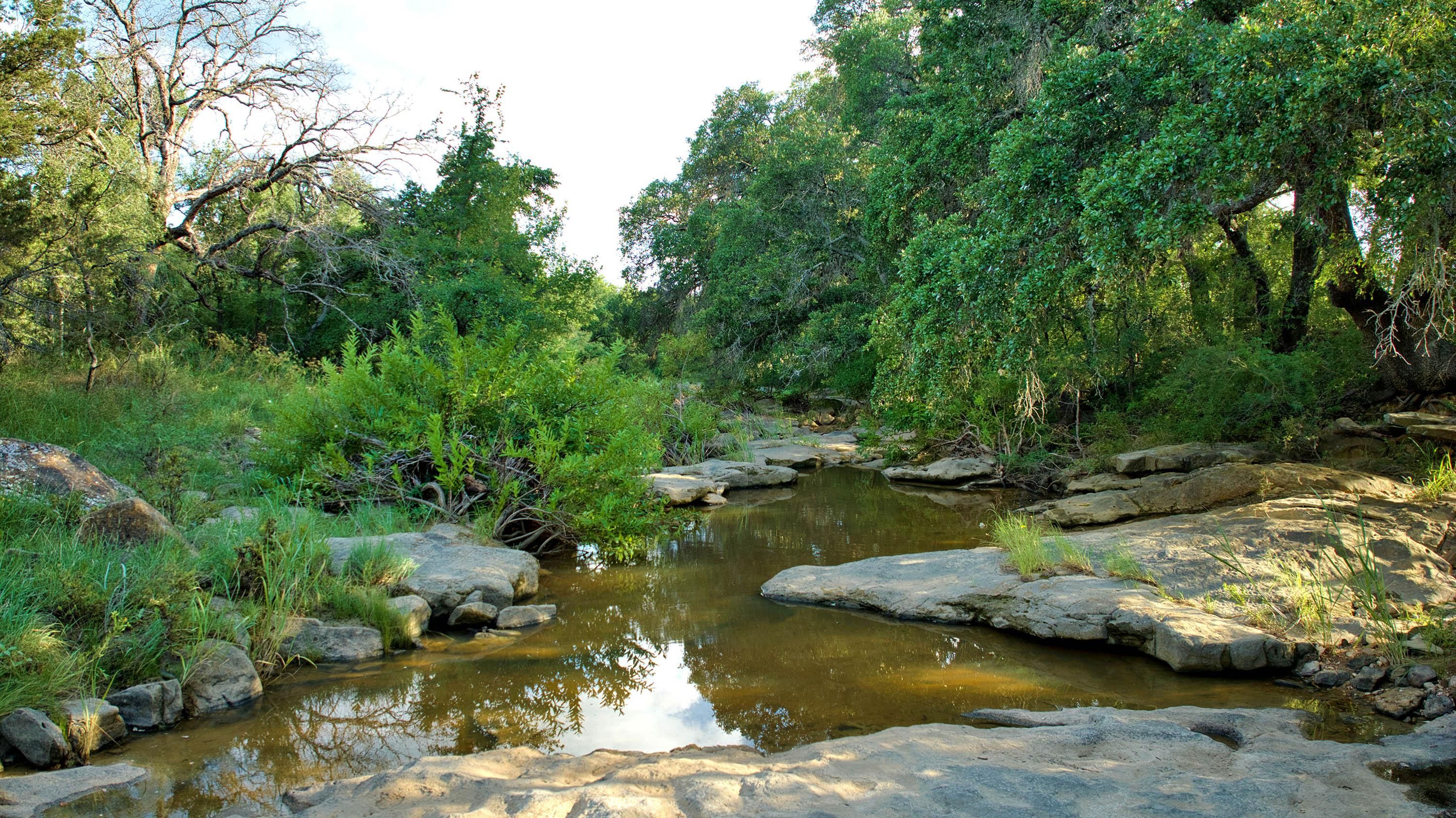 2042 FM574, Mullin, TX 76864 | LandWatch