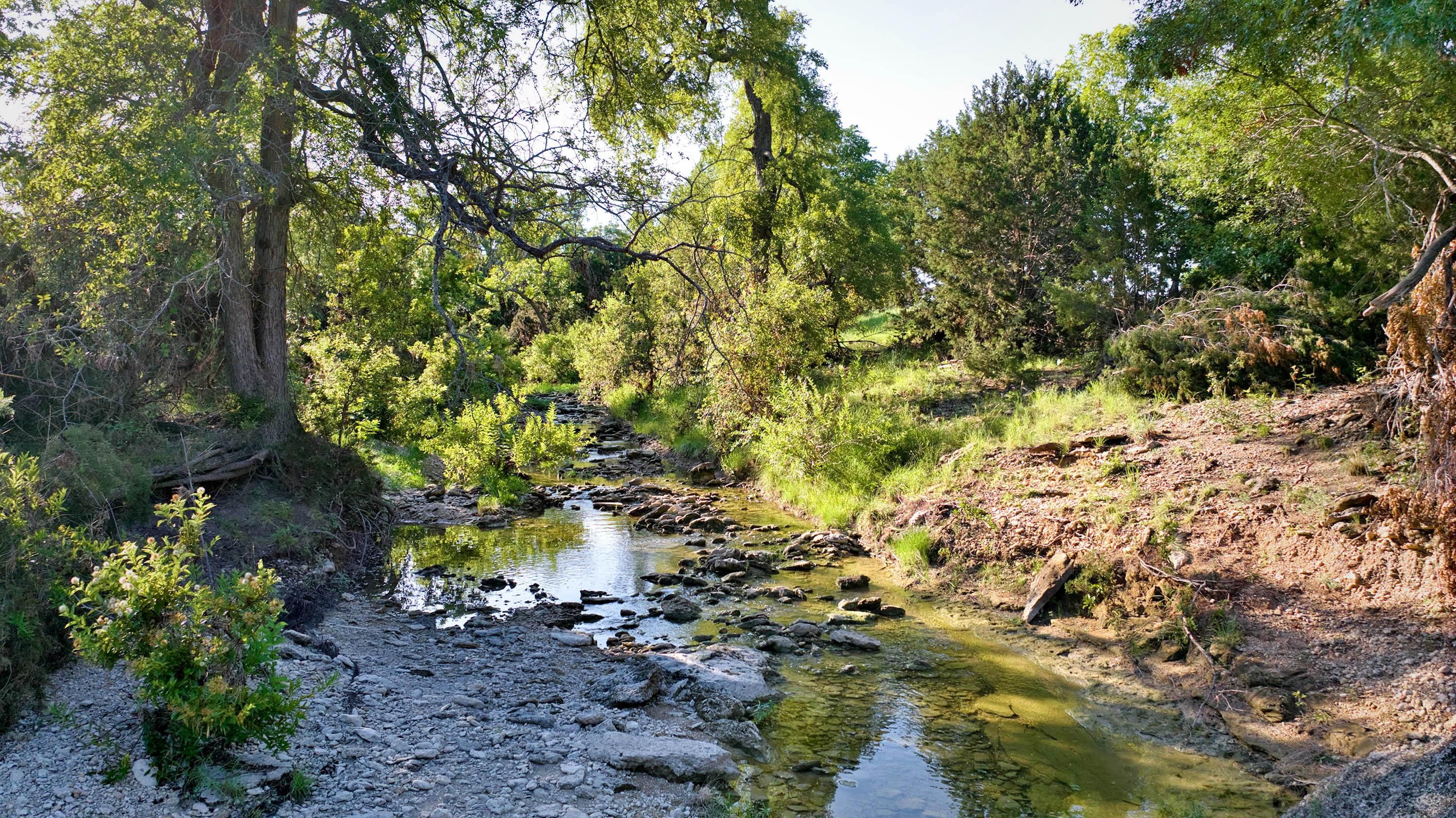 130 acres in Goldthwaite, TX, 76844 | LandWatch