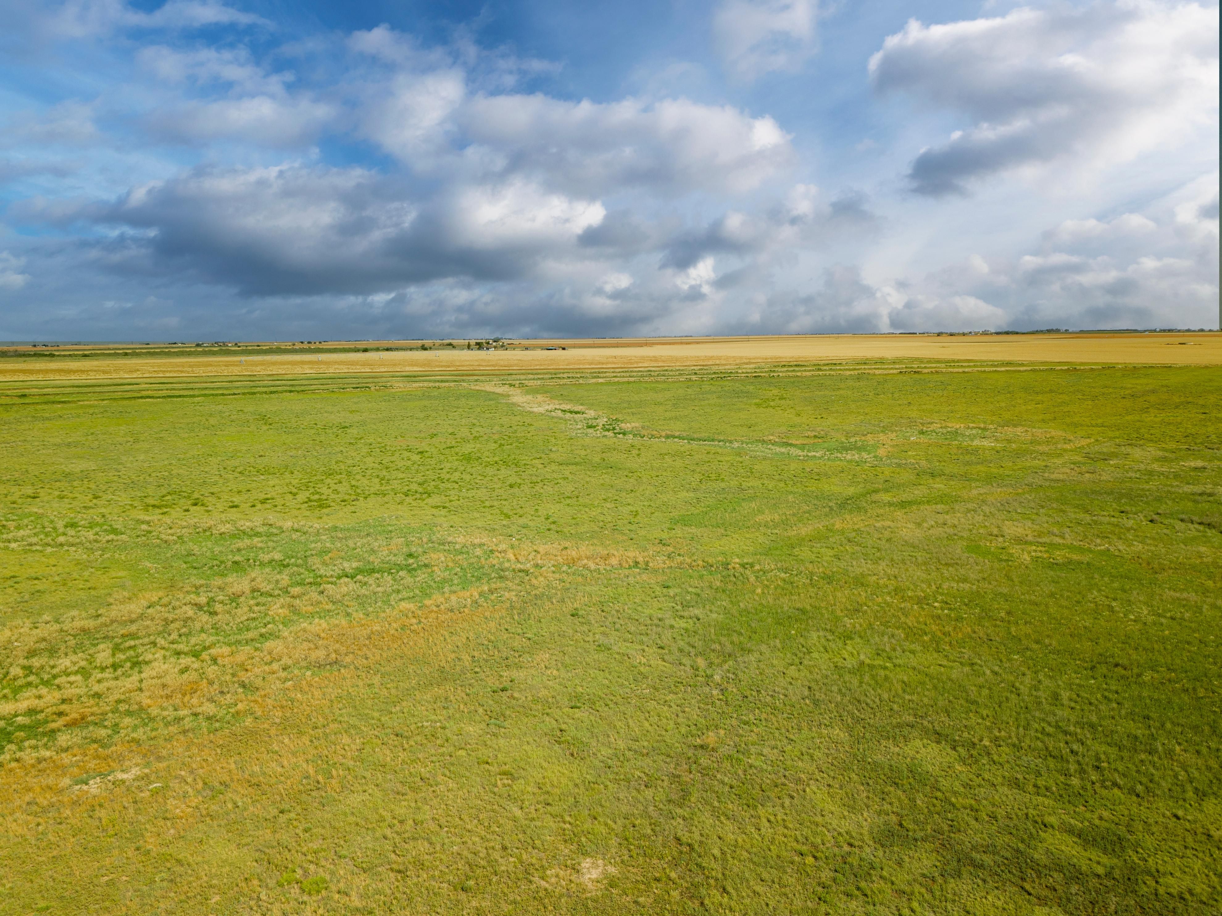 4120 S Fm 168, Ropesville, TX 79358 | LandWatch