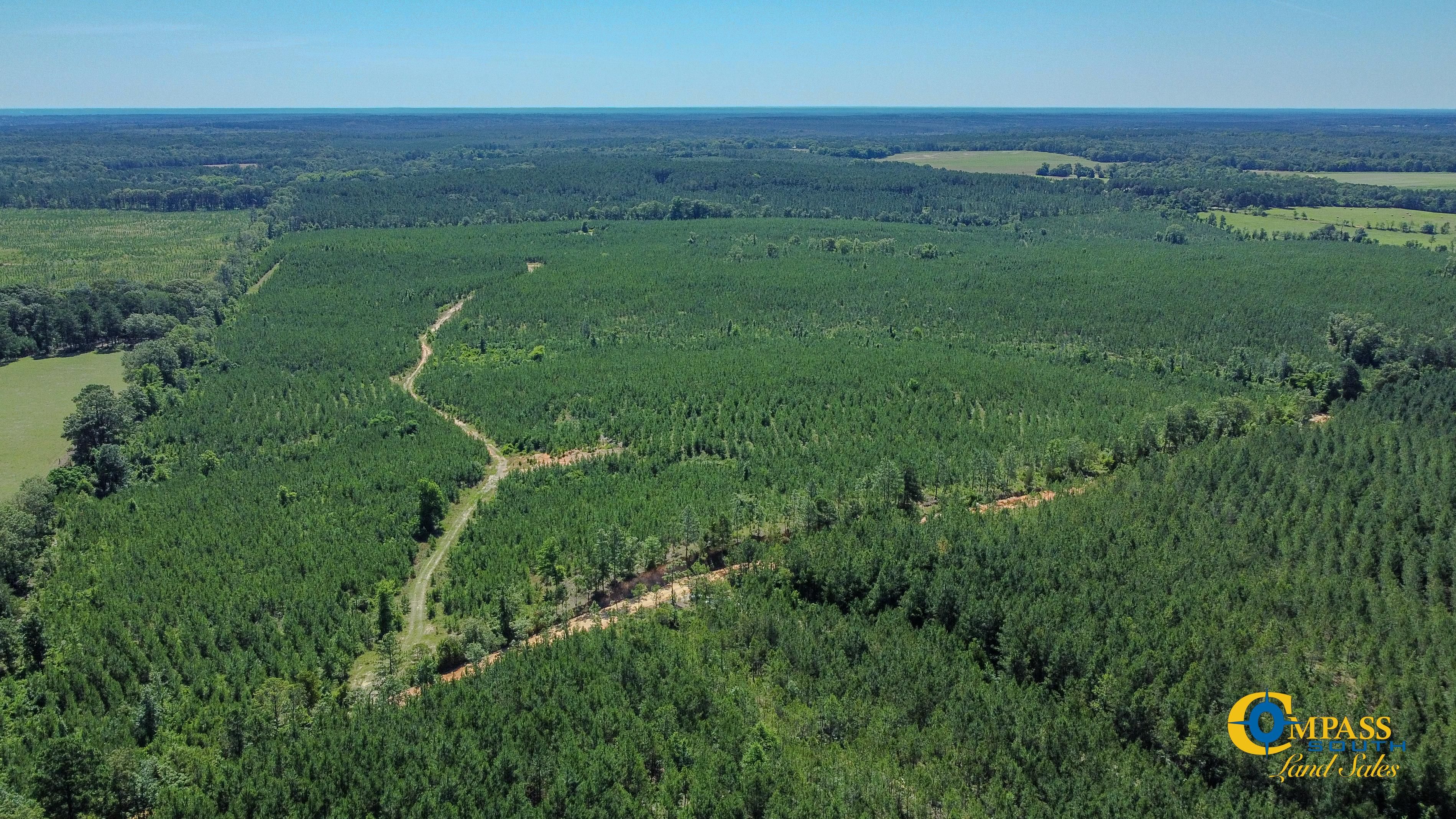 Allmon Road, Butler, GA 31006 | LandWatch