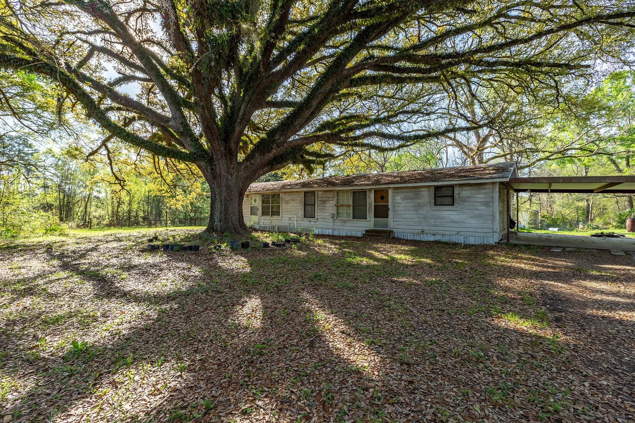 588 Linville Grimes Rd, Diboll, TX 75941 | MLS: 80526367 | LandWatch