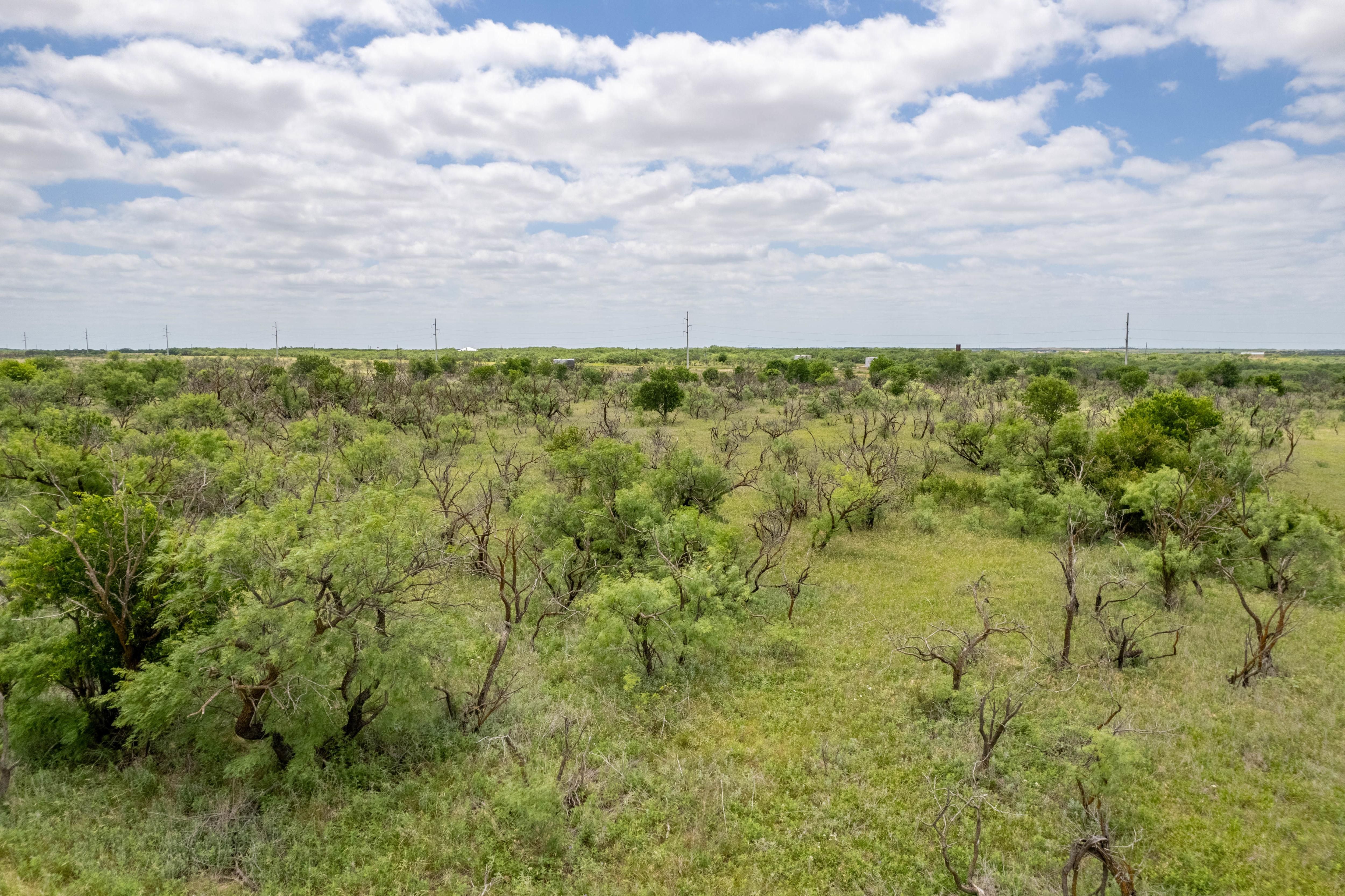 85 acres in Olney, TX, 76374 | LandWatch