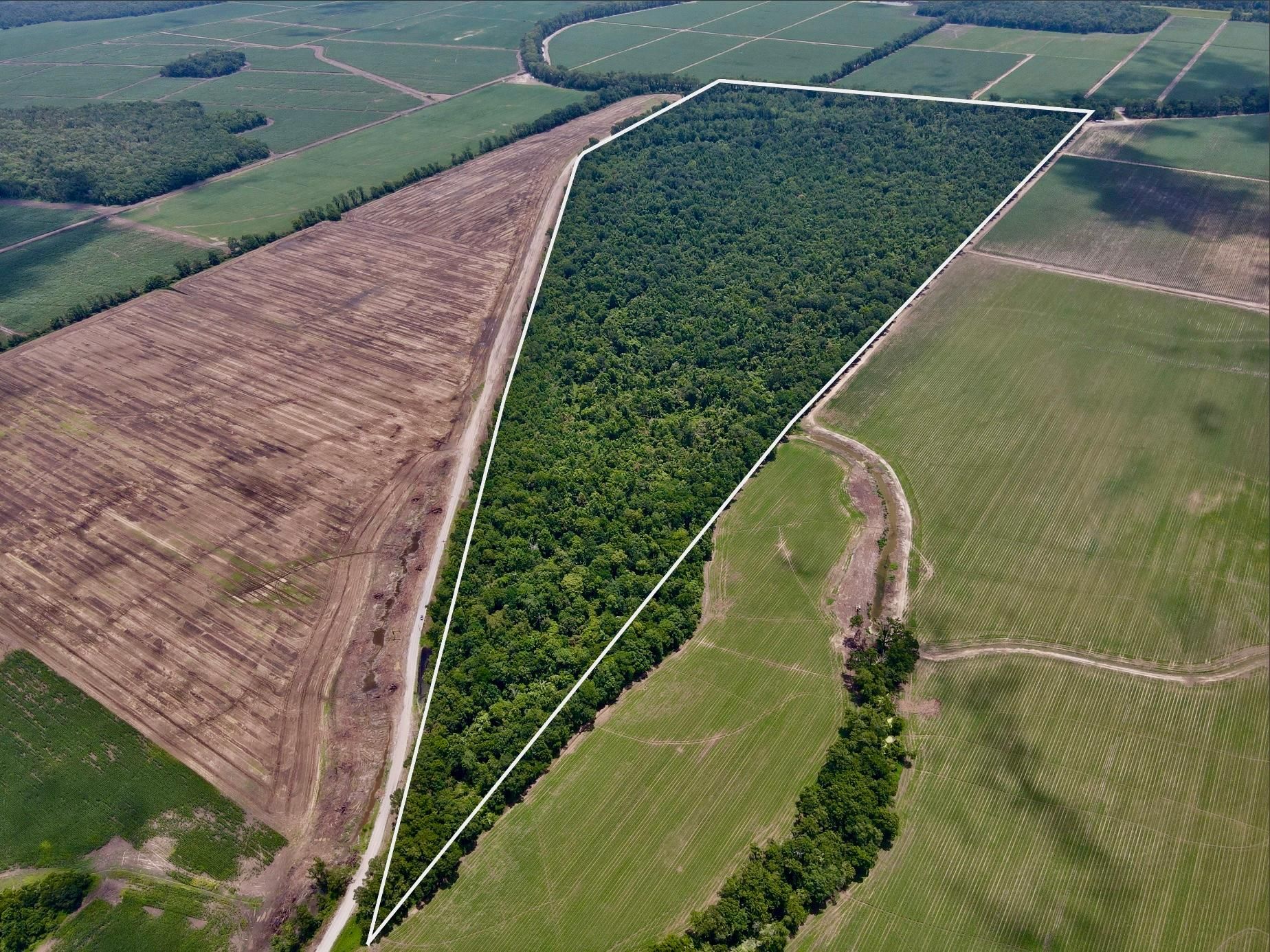 175 acres in Morganza, LA, 70732 | LandWatch