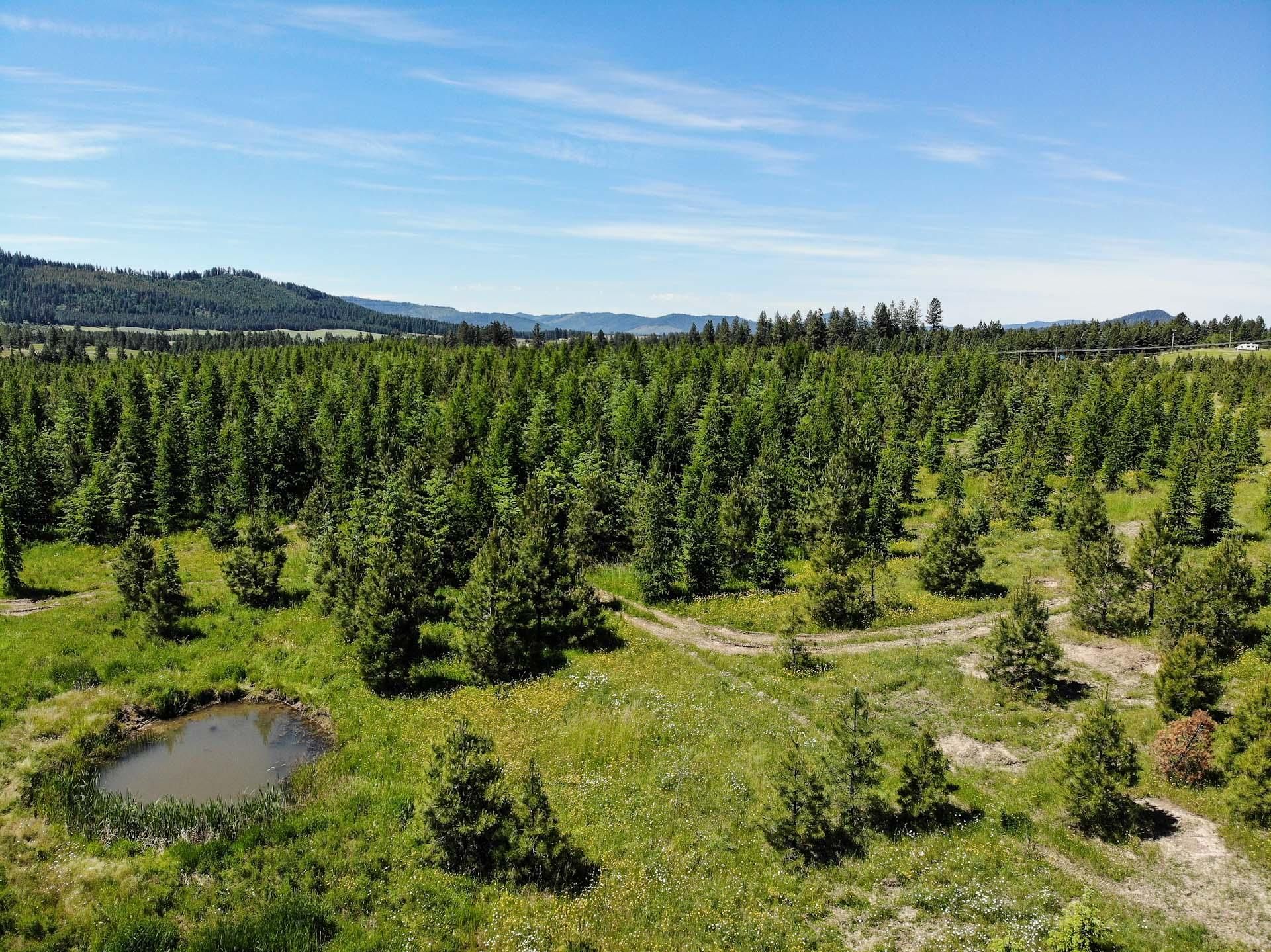 South Hawthorne Drive, Harrison, ID 83833 | LandWatch