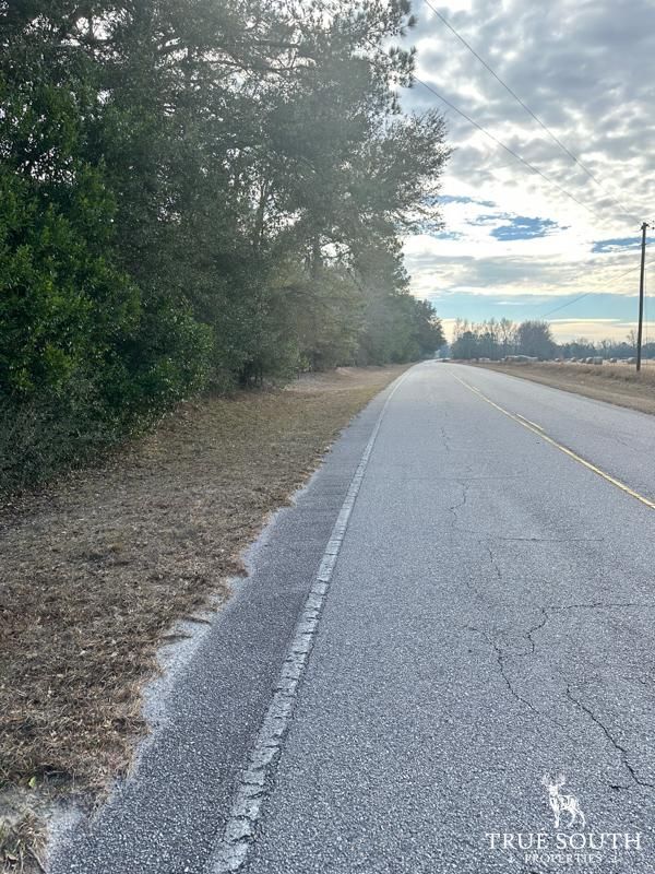 Ulmer Road, Ulmer, SC 29849 | LandWatch