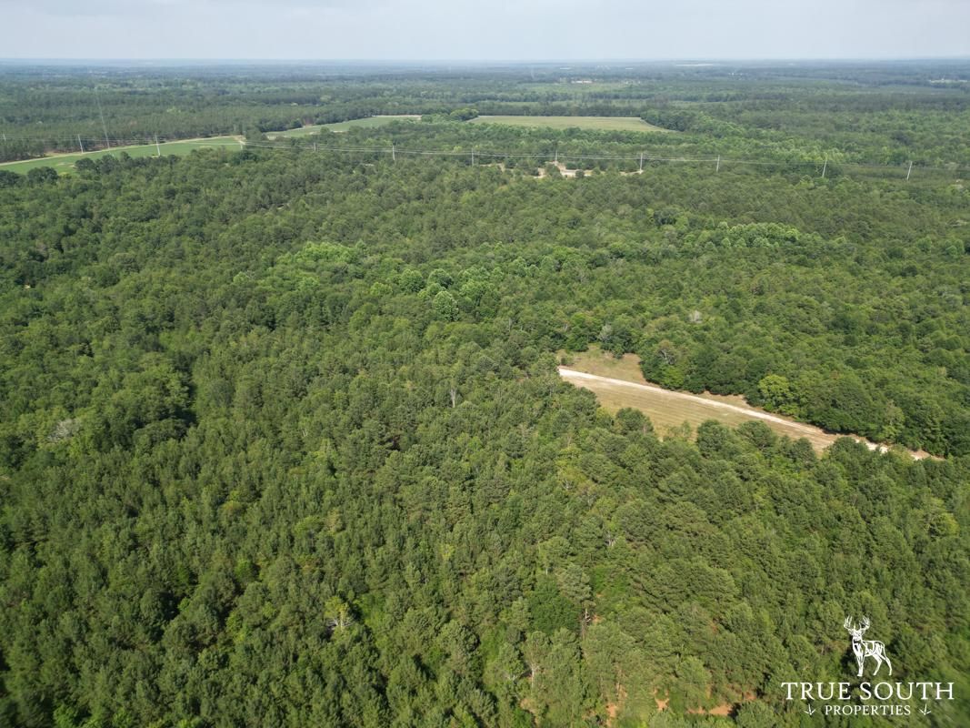 Cricket Tree Road, Salley, SC 29137 | LandWatch