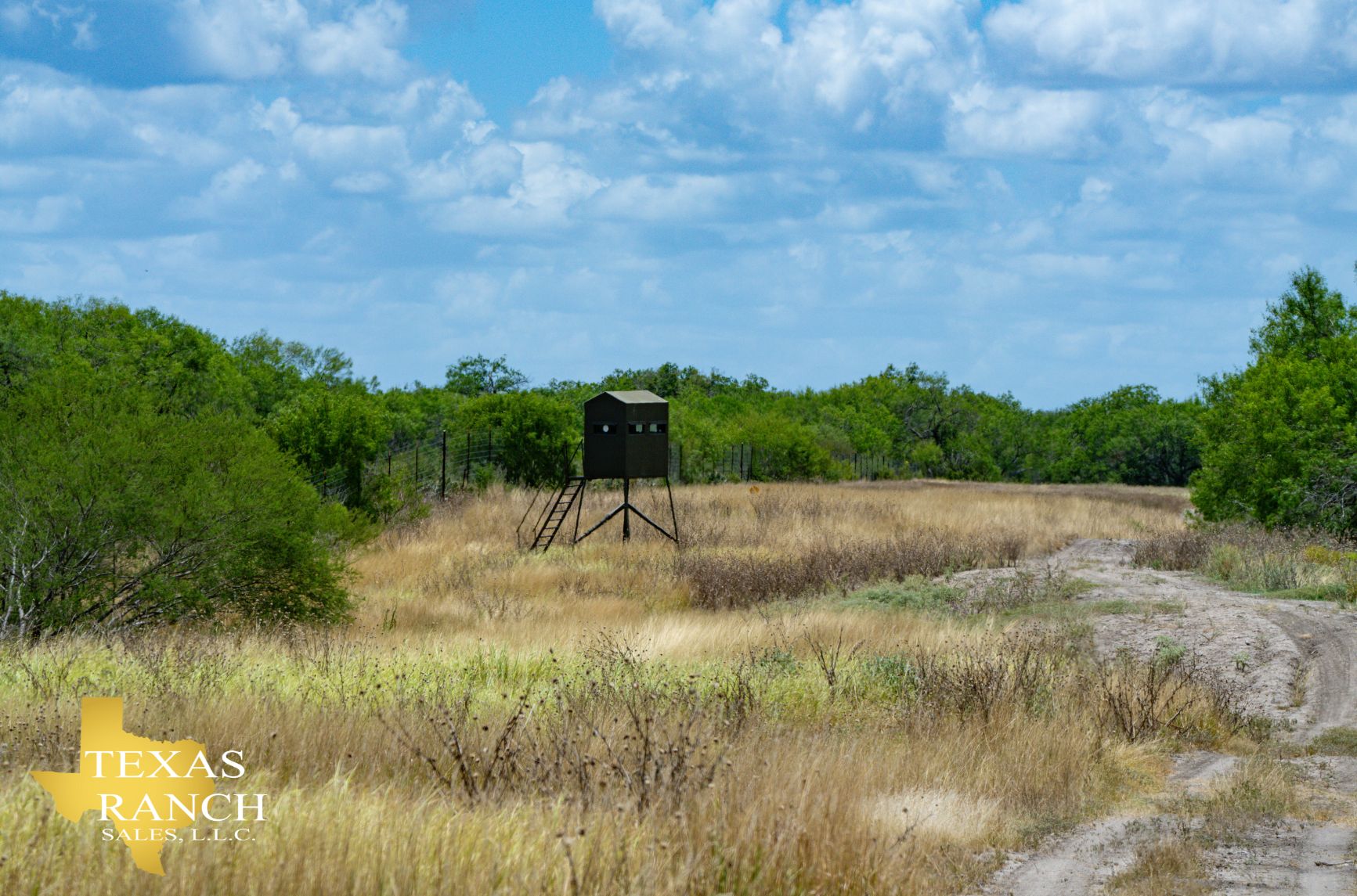 163 acres in Three Rivers, TX, 78071 | LandWatch