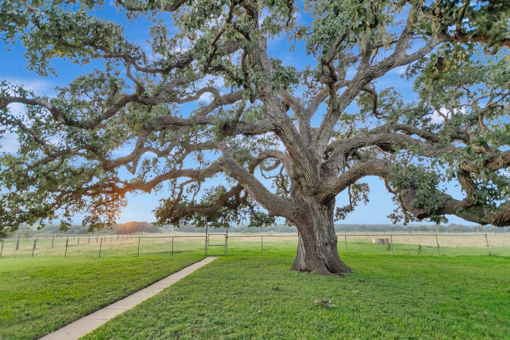 6506 FM2718, Yorktown, TX 78164 | MLS: 527271 | LandWatch