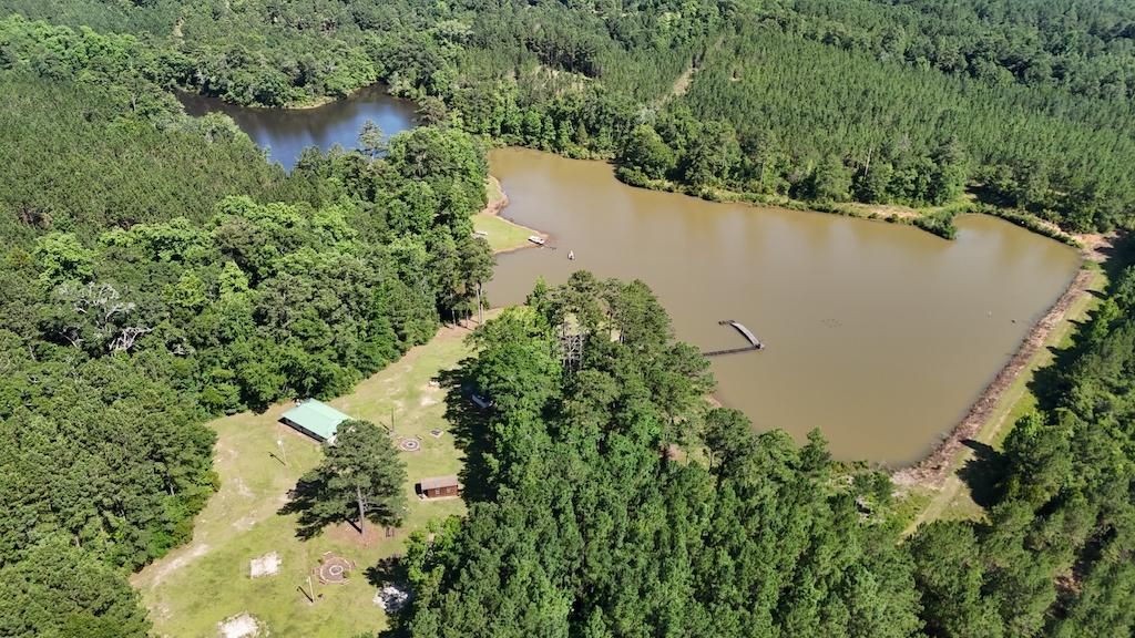 County Road 228, Elba, AL 36323 | LandWatch