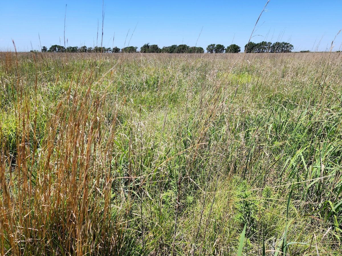 TBD County Road 14, Lot#WP001, Liberal, KS 67901 | LandWatch