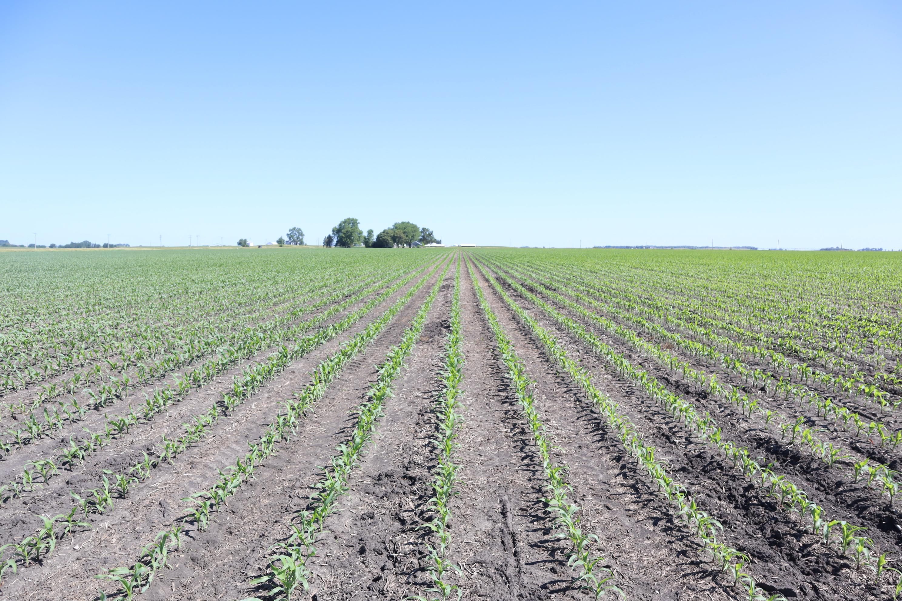 207 Tampico Road, Harmon, IL 61042 | MLS: 1 | LandWatch