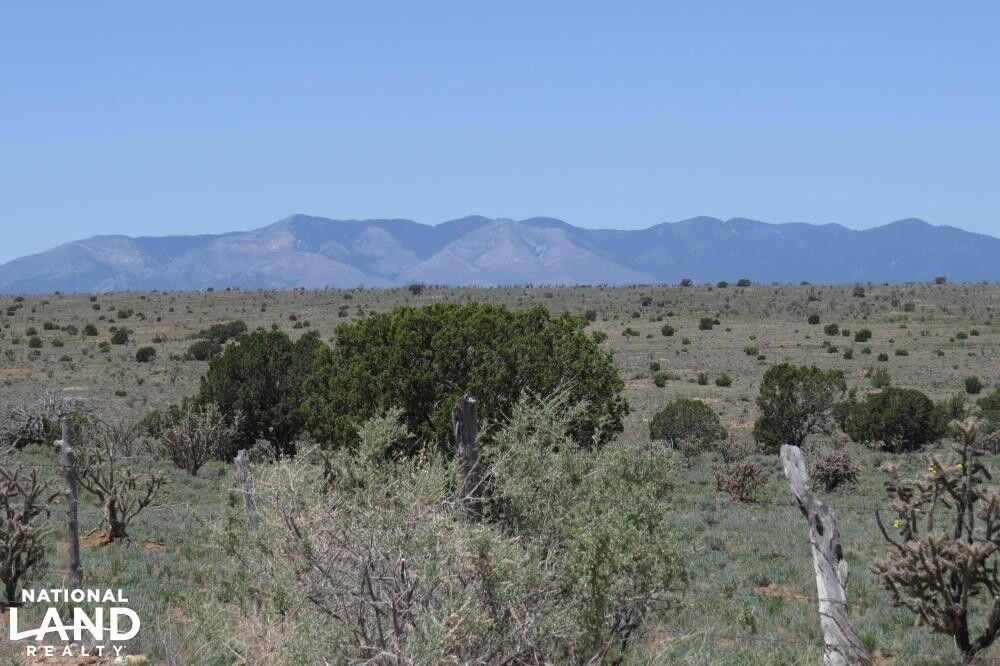 Off Bronco Rd East off Hwy 55, Mountainair, NM 87036 | LandWatch