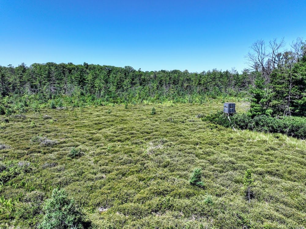 VL Orchard Rd. Lot# Wp001, Delton, MI 49046 | LandWatch