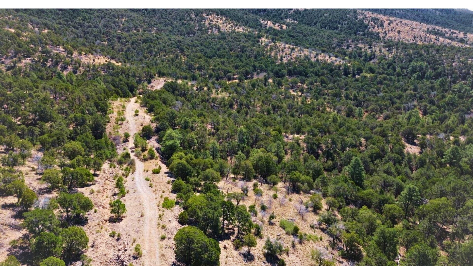 Timberon, Otero County, NM, USA, Timberon, NM 88350 | MLS ...