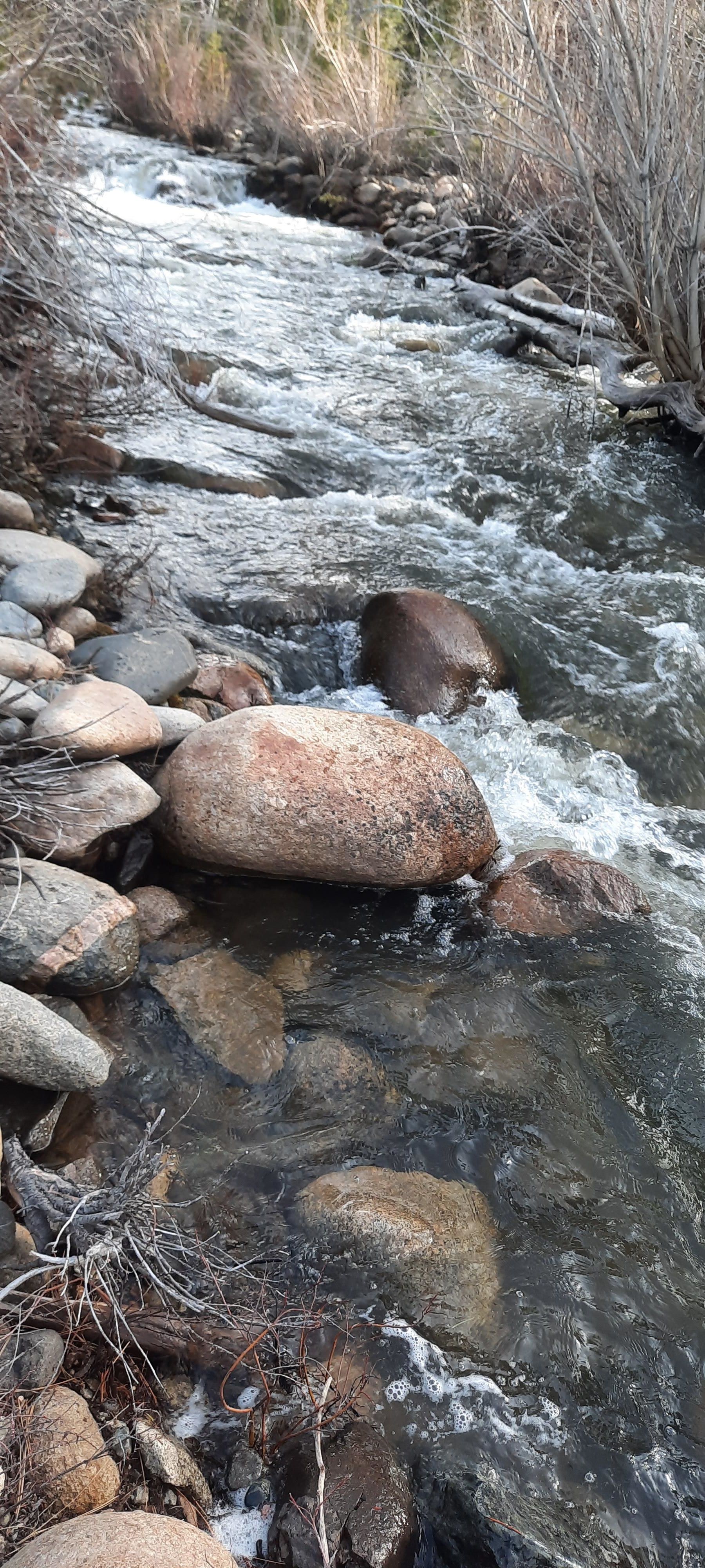 Little Walker River Road, Bridgeport, CA 93517 | MLS: Exclusive | LandWatch