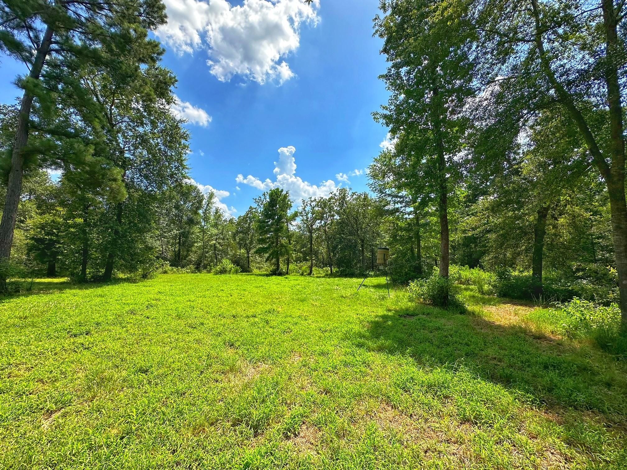 County Road 114, Centerville, TX 75833 | LandWatch