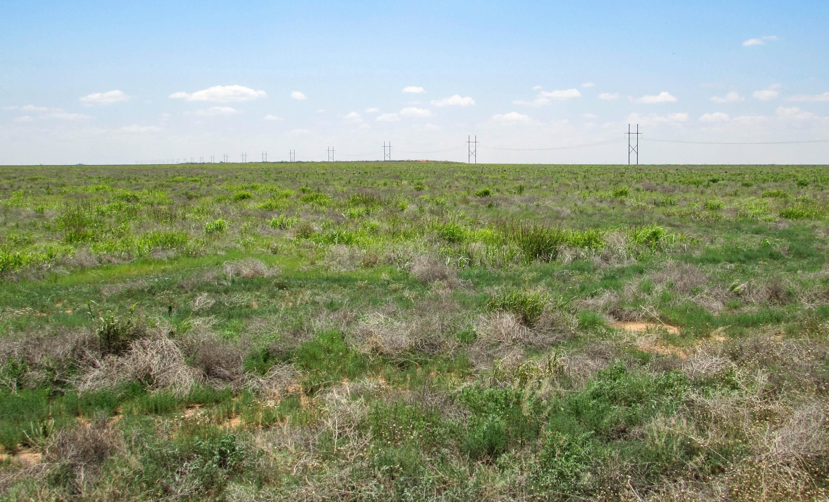 360 acres in Ropesville, TX, 79345 | LandWatch